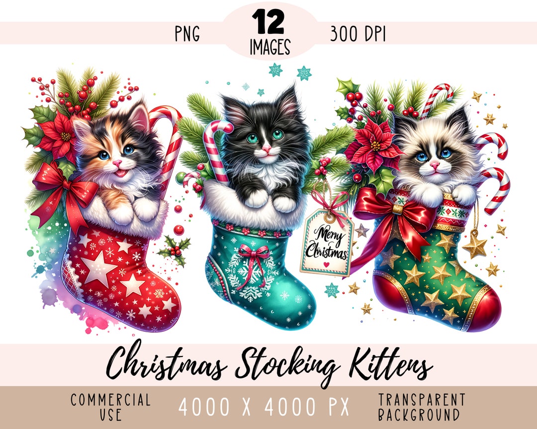 Christmas Stocking Kitten CLIPART PNG File, Cute Cat Sublimation ...