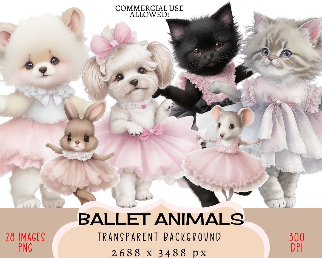Ballet Animals CLIPART PNG Files Commercial Use Transparent Background ...