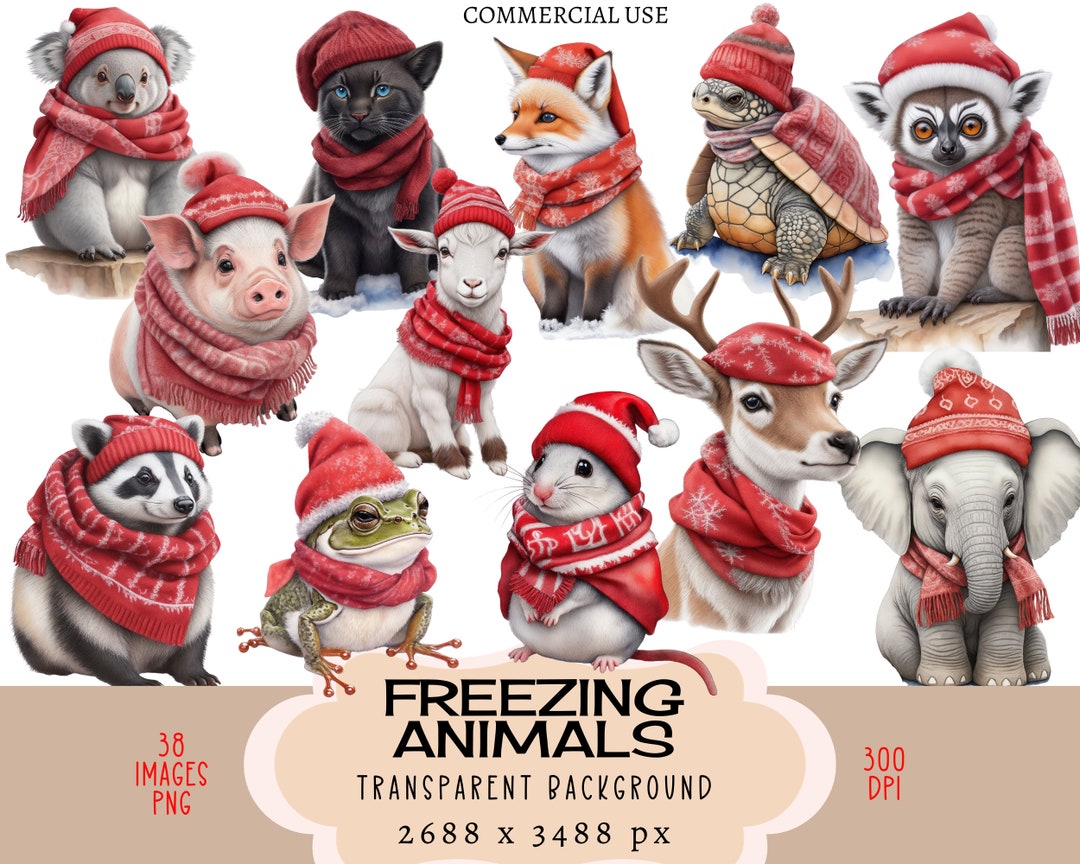 Freezing Animals CLIPART PNG Files Commercial Use Transparent ...