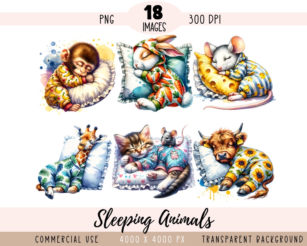 Sleeping Animals CLIPART PNG Files, Pajamas Sublimation, Night Suit ...