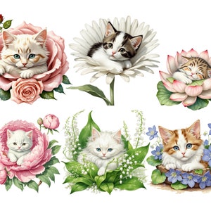 Cats in Flowers CLIPART PNG Files Commercial Use Transparent Background ...