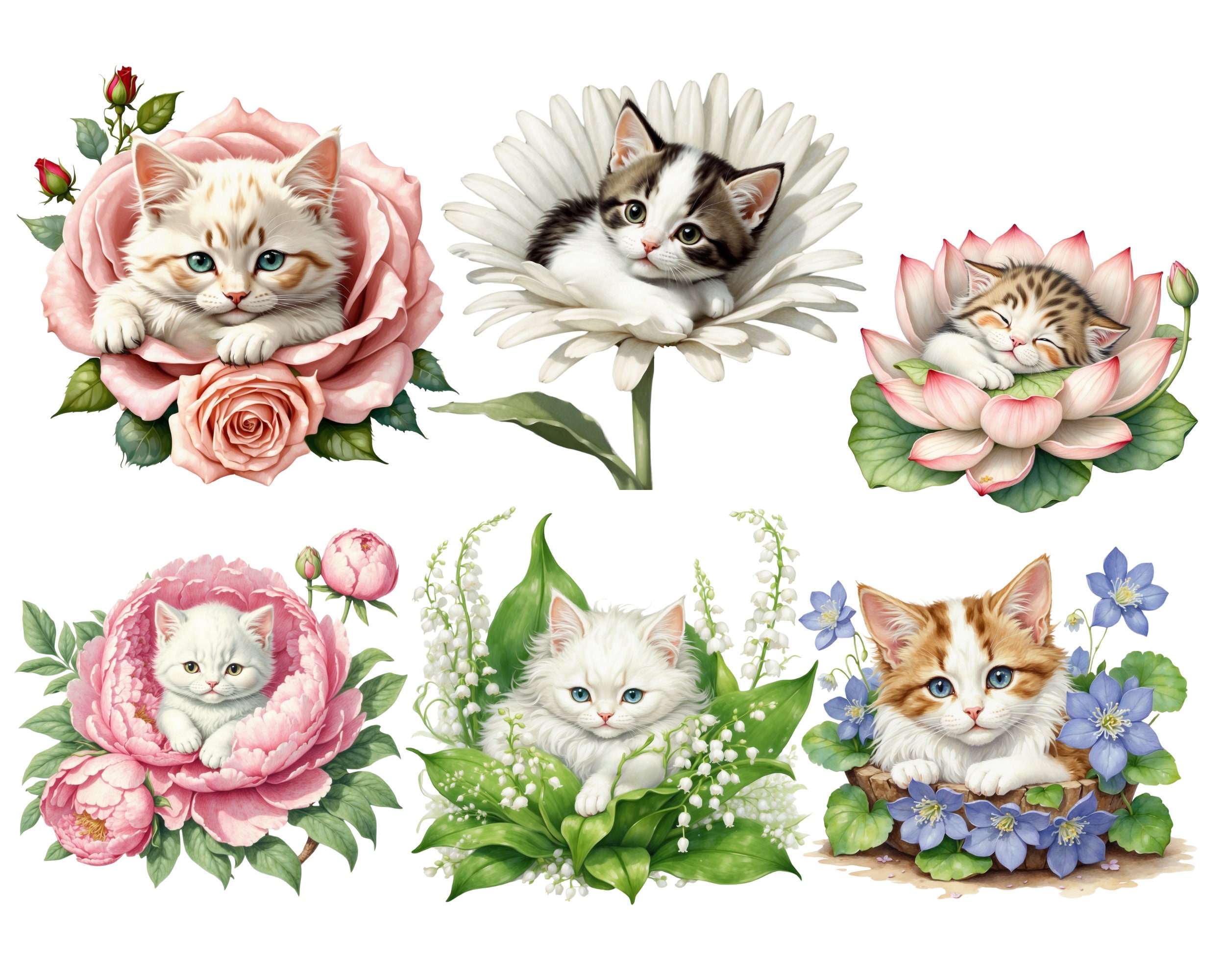 Cats in Flowers CLIPART PNG Files Commercial Use Transparent Background ...