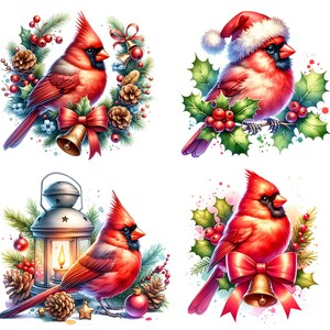 Christmas Cardinals CLIPART PNG Files, Red Bird Sublimation, Poinsettia ...