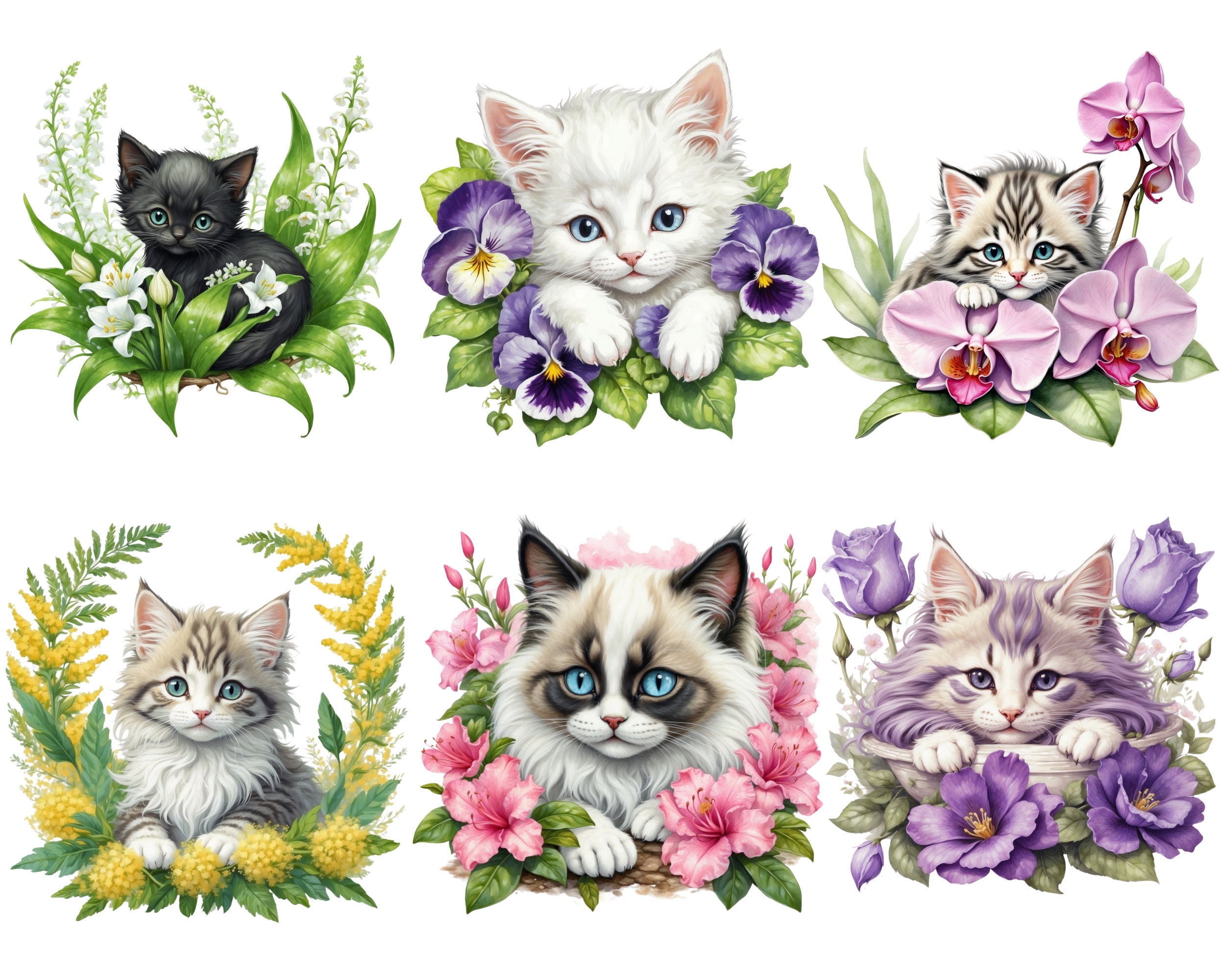Cats in Flowers CLIPART PNG Files Commercial Use Transparent Background ...