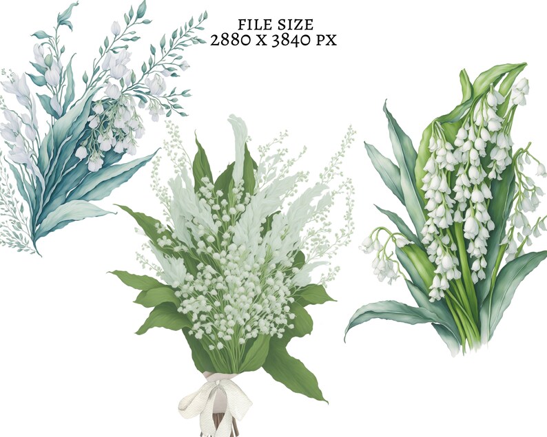 Lily of the Valley CLIPART PNG Files Commercial Use - Etsy