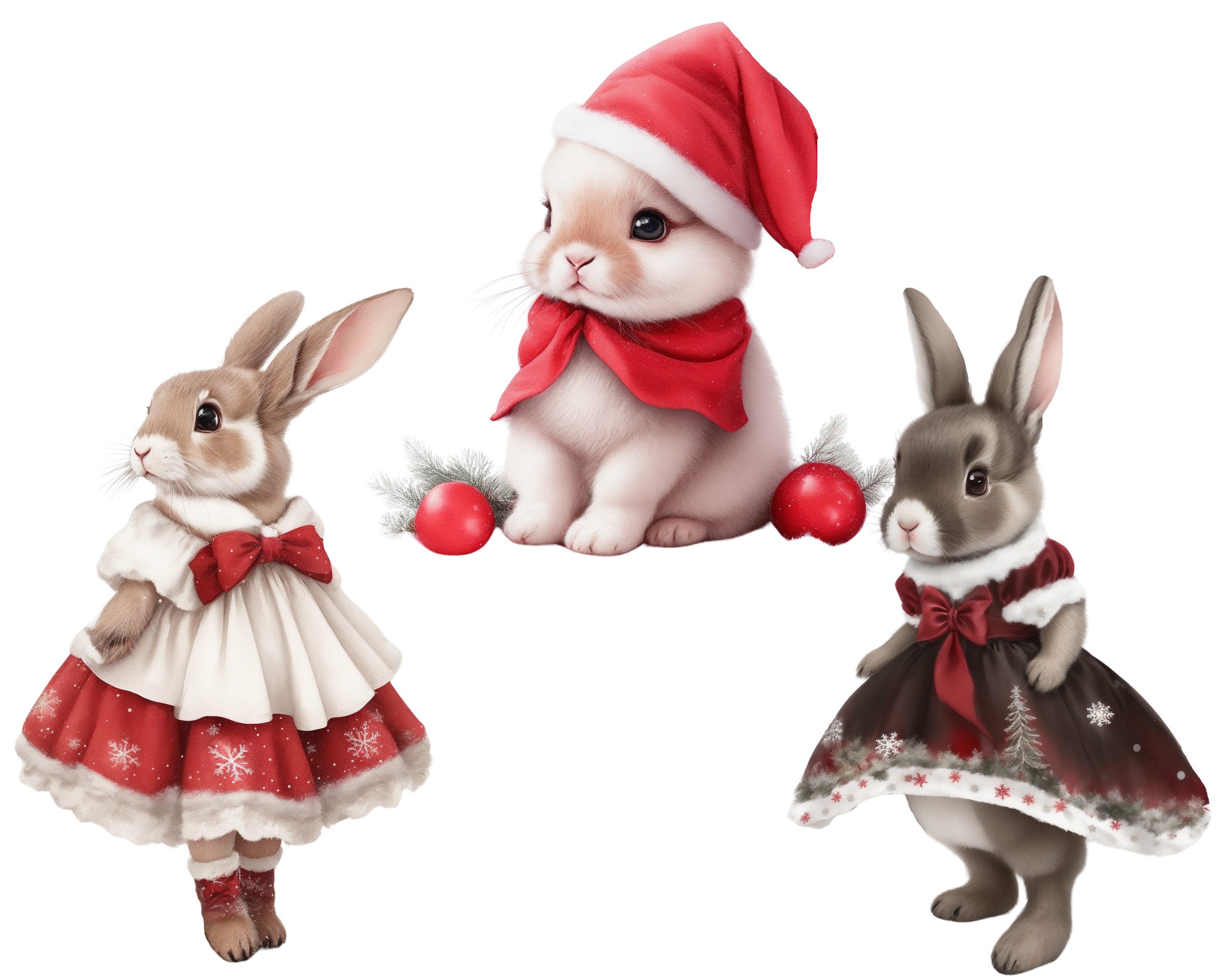 Christmas Bunny CLIPART PNG Files Commercial Use Transparent - Etsy