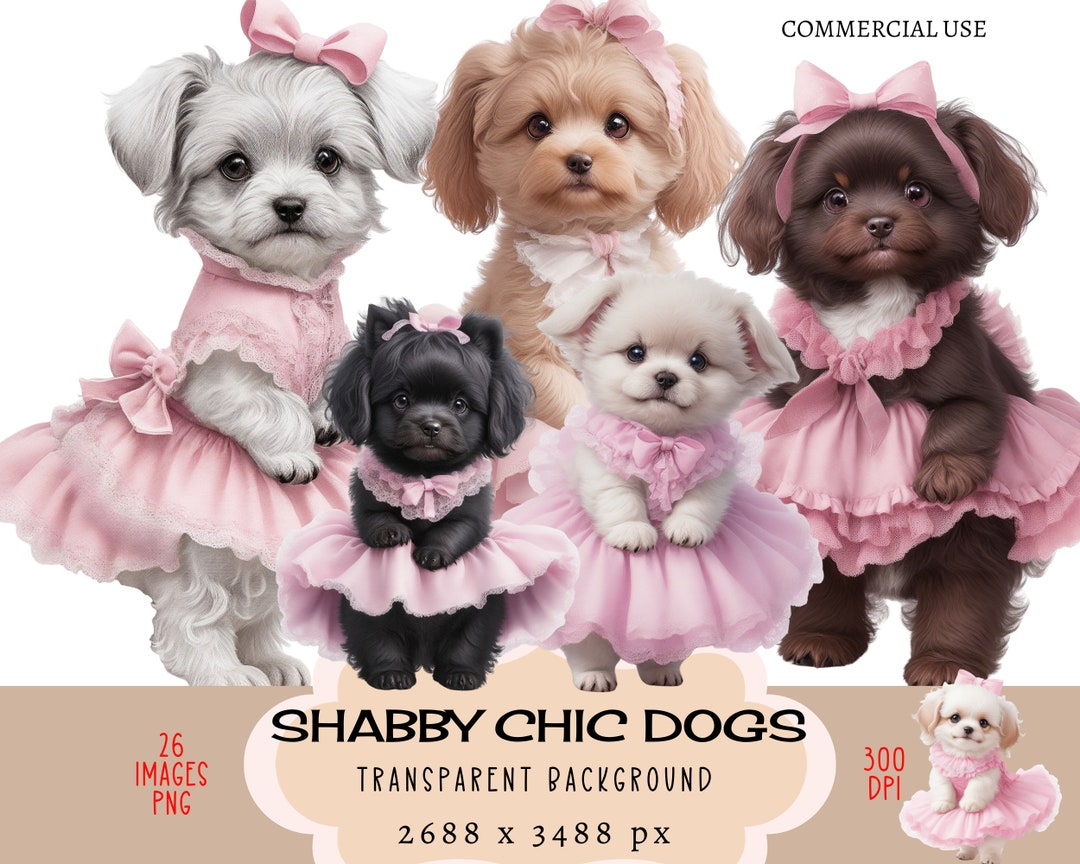 Shabby Chic Dogs CLIPART PNG Files Commercial Use Transparent Background Cute Little Fluffy ...
