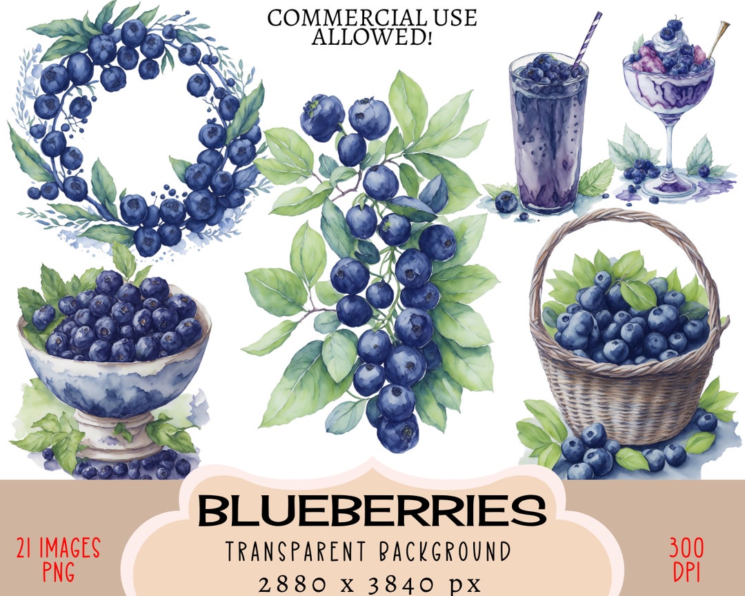 Blueberries CLIPART PNG Files, Commercial Use, Transparent Background ...