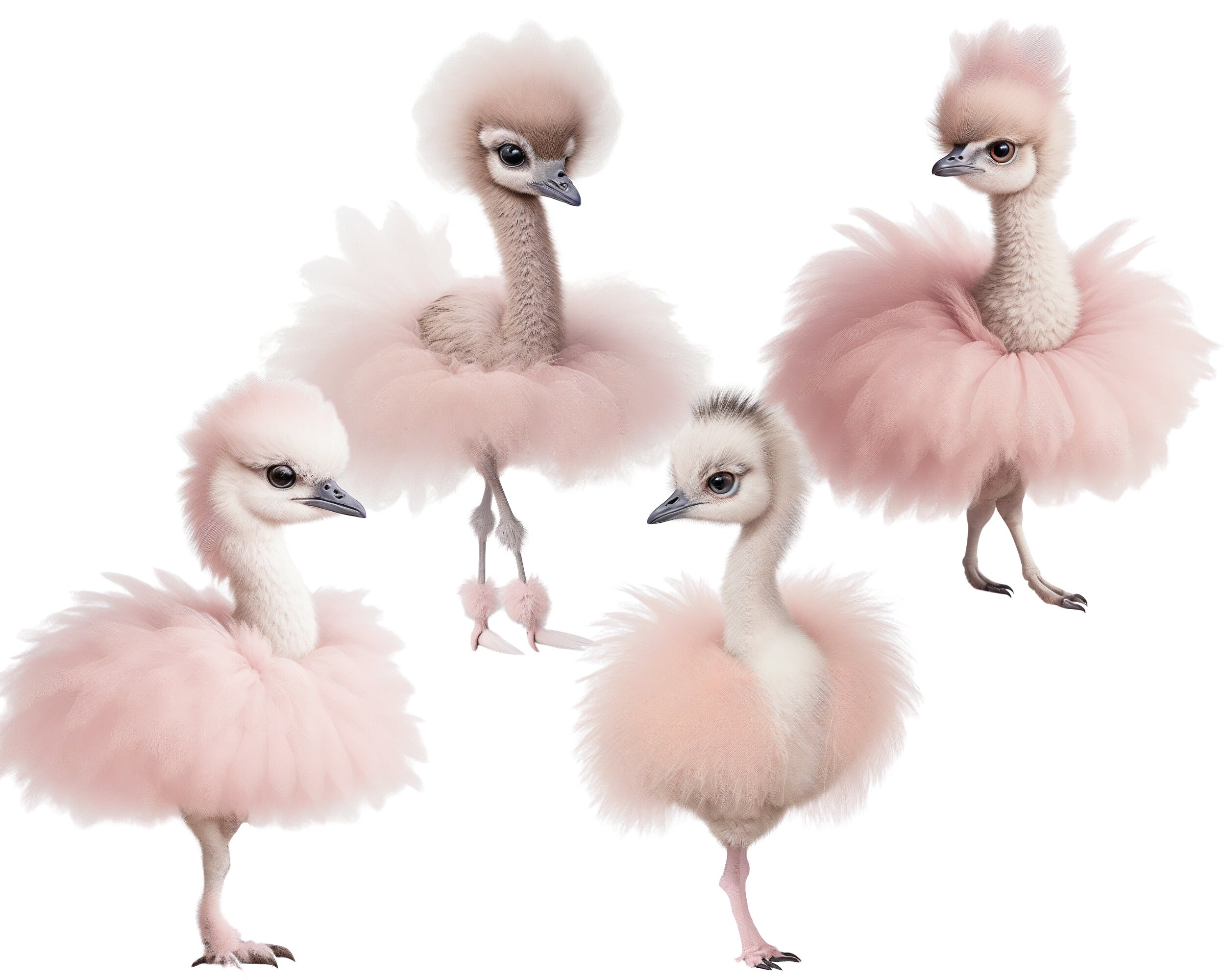 Pink White Fluffy Birds CLIPART PNG Files Commercial Use Transparent ...