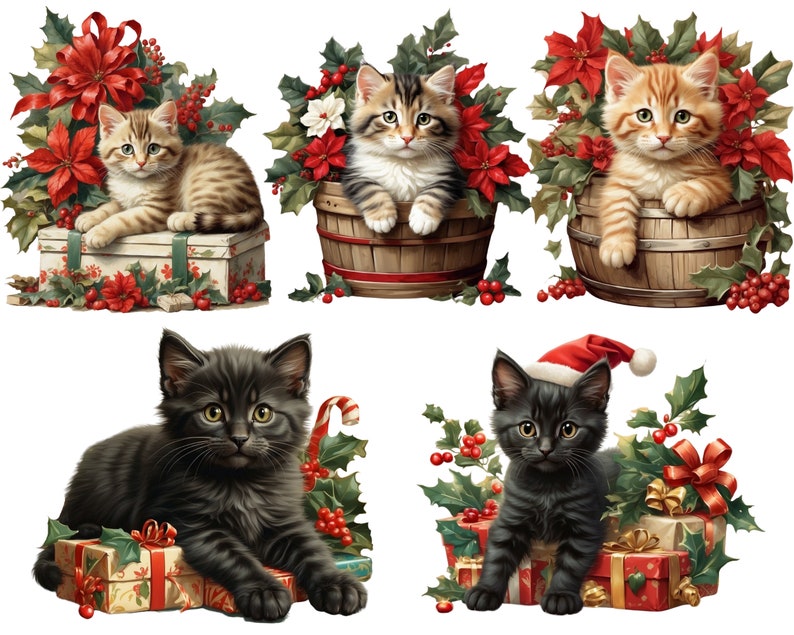 Christmas Cats CLIPART PNG Files Commercial Use Transparent Background ...