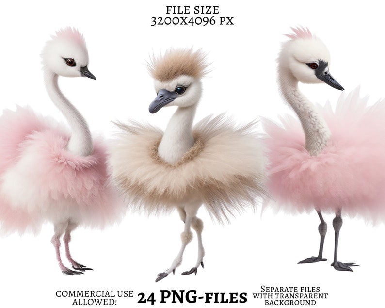 Pink White Fluffy Birds CLIPART PNG Files Commercial Use Transparent ...