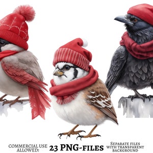 Freezing Birds CLIPART PNG Files Commercial Use Transparent Background ...