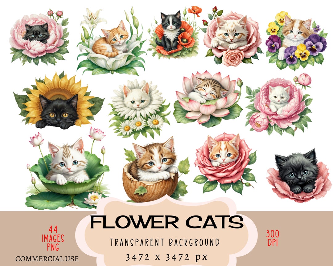 Cats in Flowers CLIPART PNG Files Commercial Use Transparent Background ...