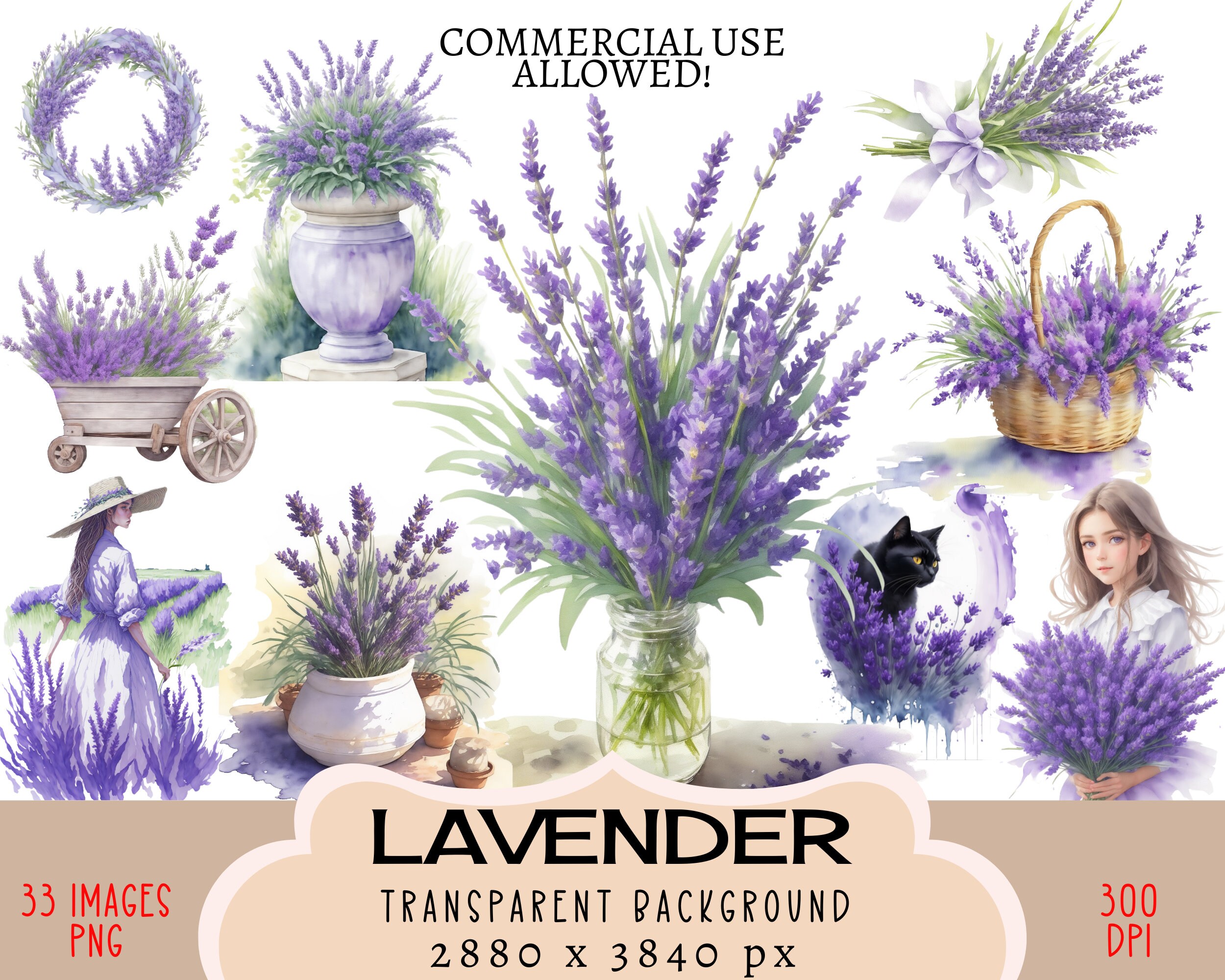 Lavender CLIPART PNG Files, Commercial Use, Transparent Background ...