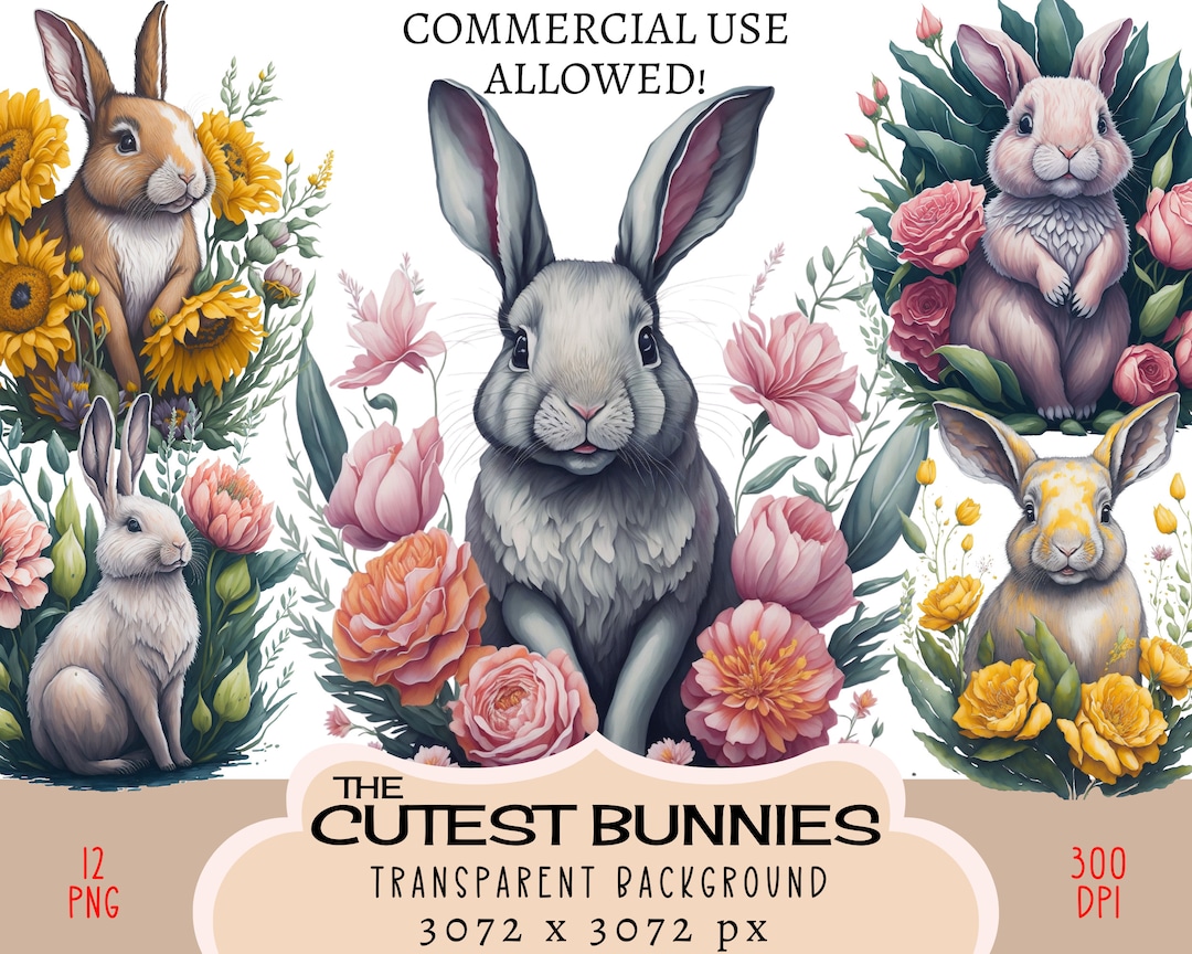 Cute Bunnies CLIPART PNG Files, Commercial Use, Transparent Background ...