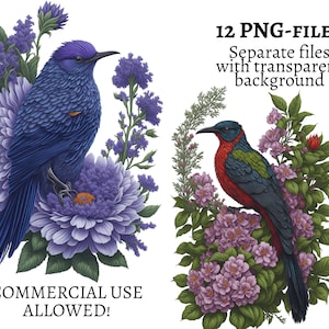 Birds and Flowers CLIPART PNG Files, Commercial Use, Transparent ...