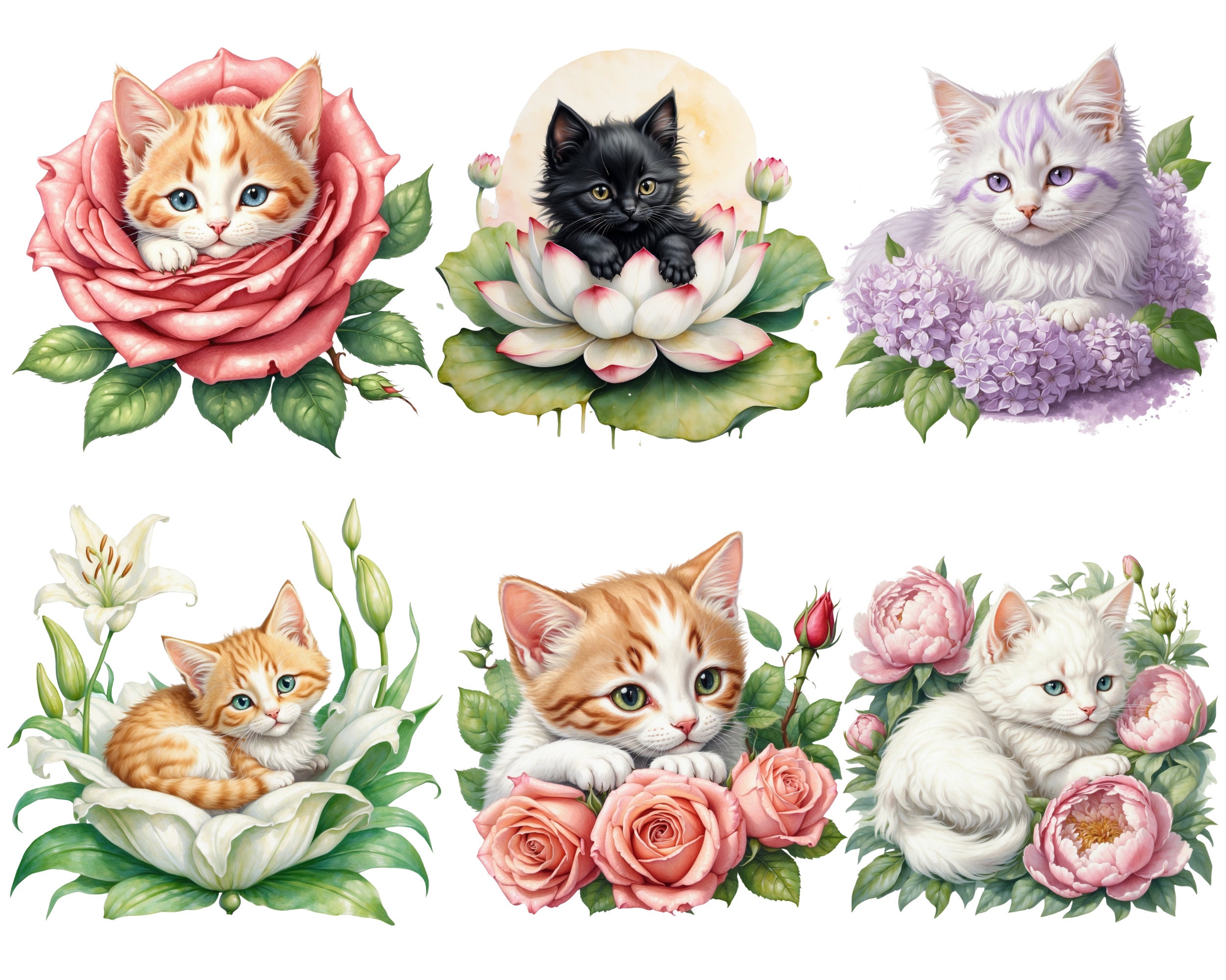 Cats in Flowers CLIPART PNG Files Commercial Use Transparent Background ...