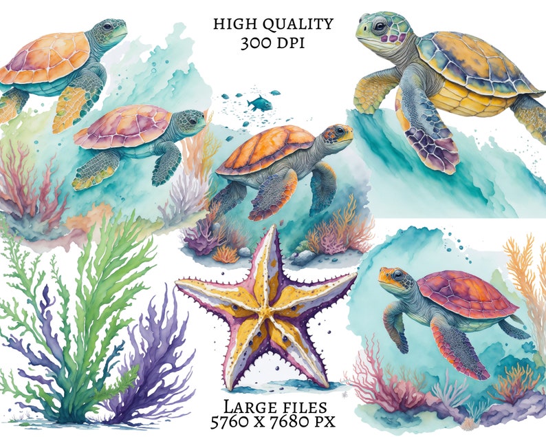 Sea Turtles CLIPART PNG Files Commercial Use Transparent - Etsy