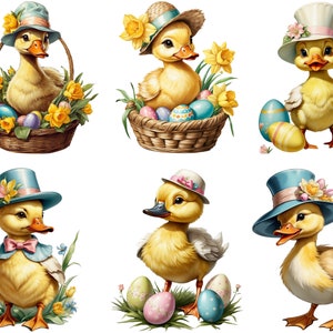 Easter Ducks CLIPART PNG Files Commercial Use Transparent Background ...