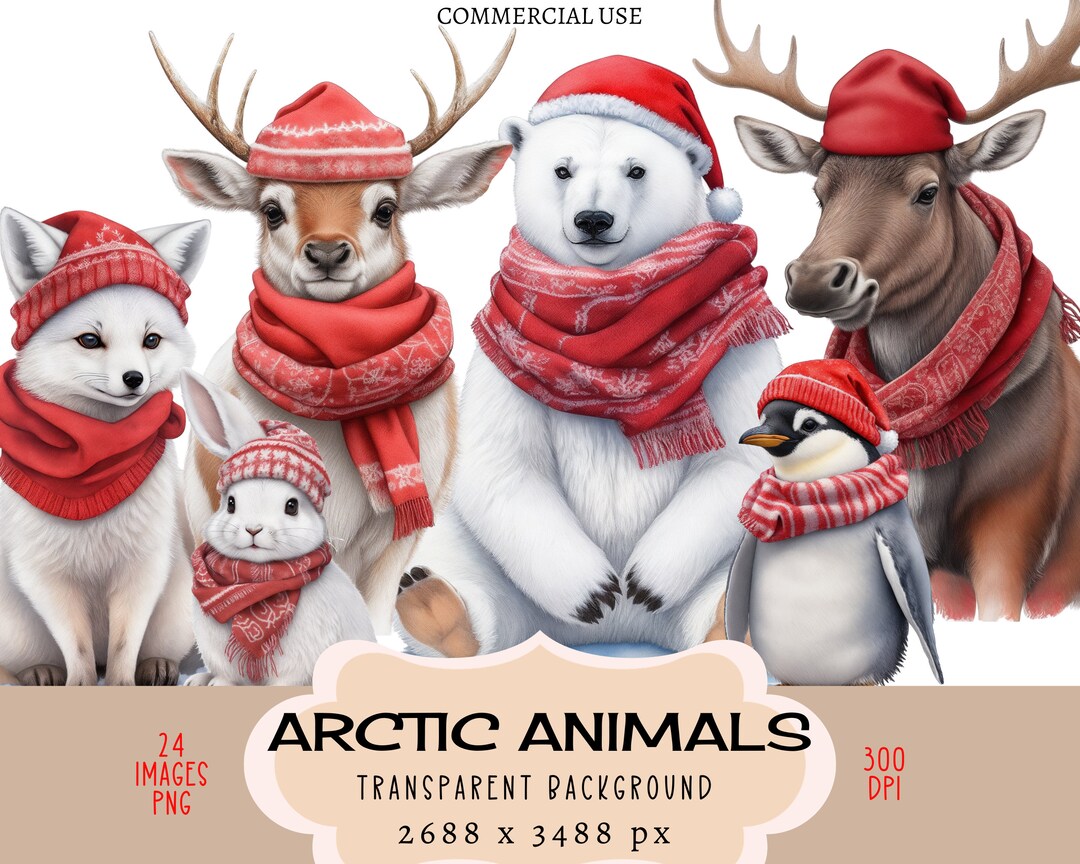 Arctic Animals CLIPART PNG File Commercial Use Transparent Background ...