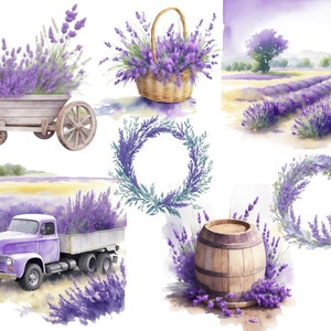 Lavender CLIPART PNG Files, Commercial Use, Transparent Background ...