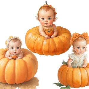 Pumpkin Babies CLIPART PNG Files Commercial Use Transparent Background ...