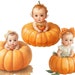 Pumpkin Babies CLIPART PNG Files Commercial Use Transparent Background ...