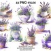 Lavender CLIPART PNG Files, Commercial Use, Transparent Background ...