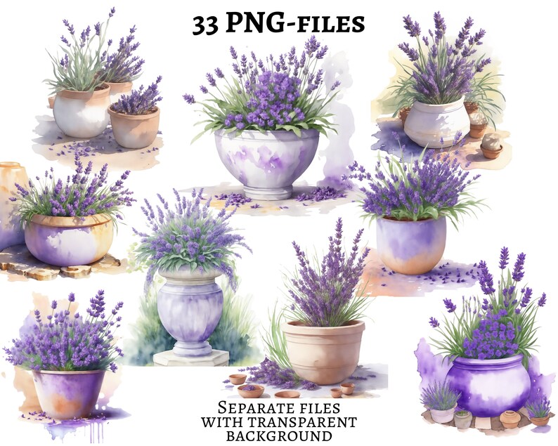 Lavender CLIPART PNG Files, Commercial Use, Transparent Background ...