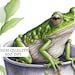 Frogs on Wheels CLIPART PNG Files, Commercial Use, Transparent ...