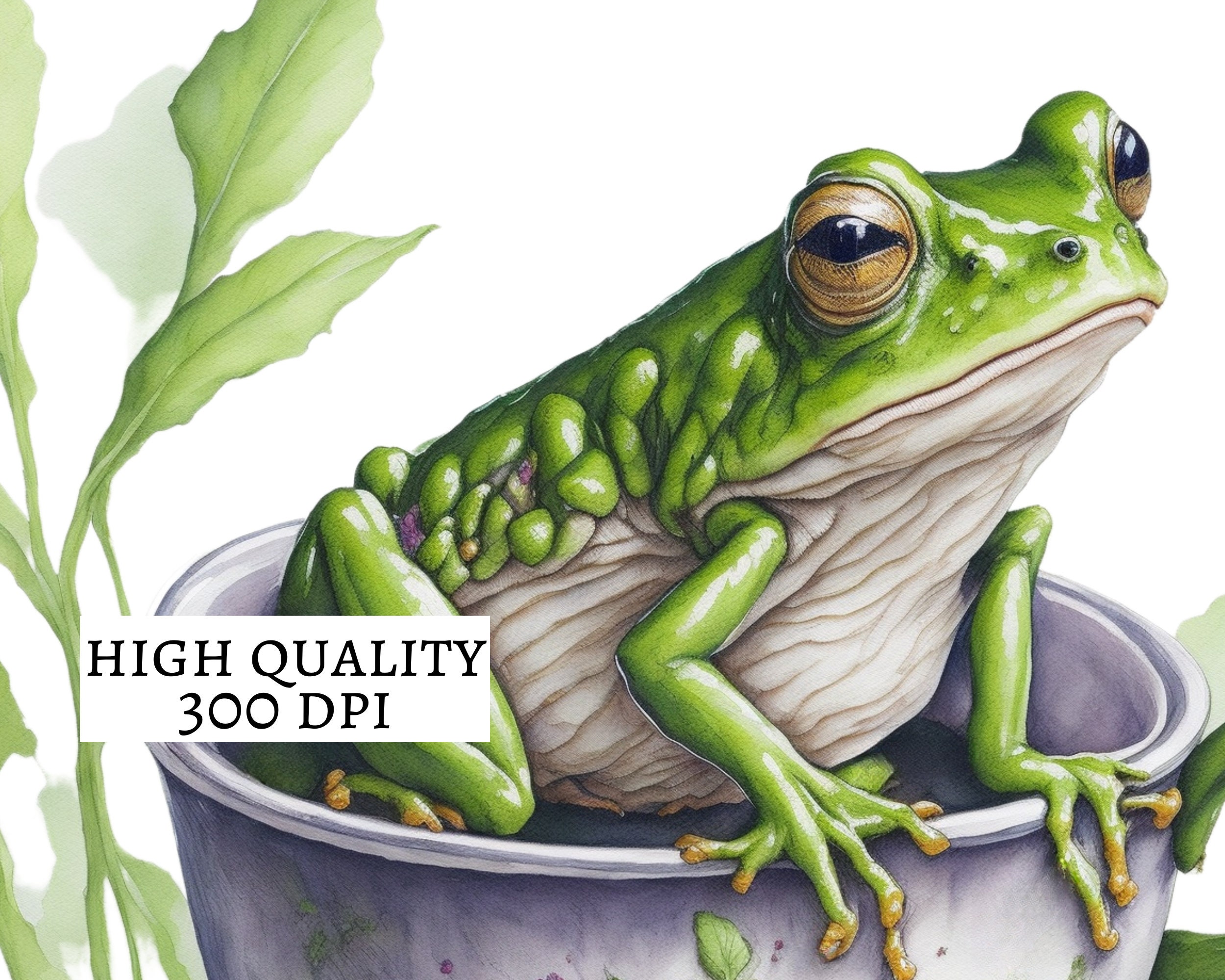 Frogs on Wheels CLIPART PNG Files, Commercial Use, Transparent ...