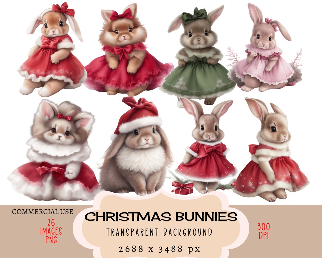 Christmas Bunny CLIPART PNG Files Commercial Use Transparent Background ...