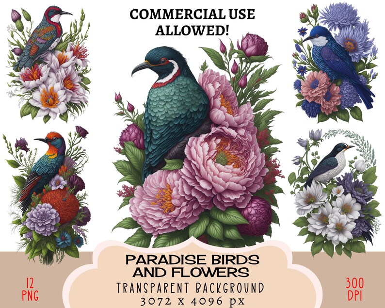 Birds and Flowers CLIPART PNG Files, Commercial Use, Transparent ...
