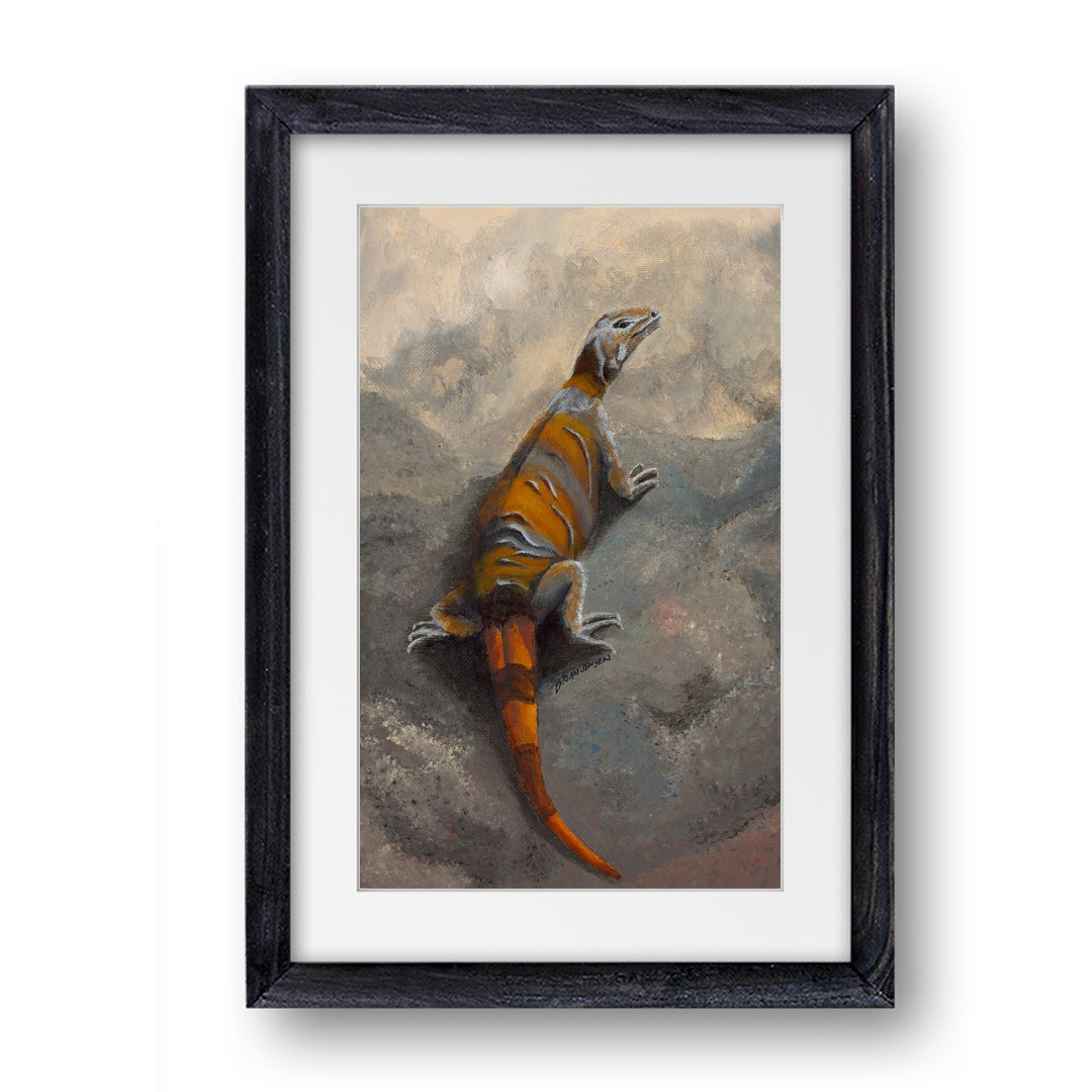 Chuckwalla, Wall Art, Fine Art, Print, Lizard, Acrylic Painting ...