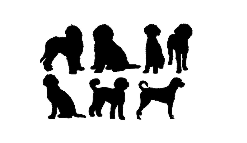Goldendoodle Decal Labradoodle Decal Dog Breed Silhouette - Etsy