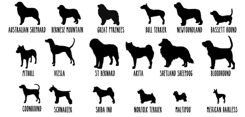 Custom Dog Decal Car Dog Car Sticker Dog Breed Decal - Etsy