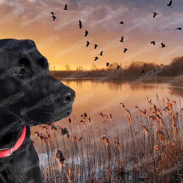 Black Lab Art - Etsy