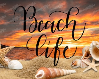 12.25 X 6.25 License Plate Digital Files for - Etsy