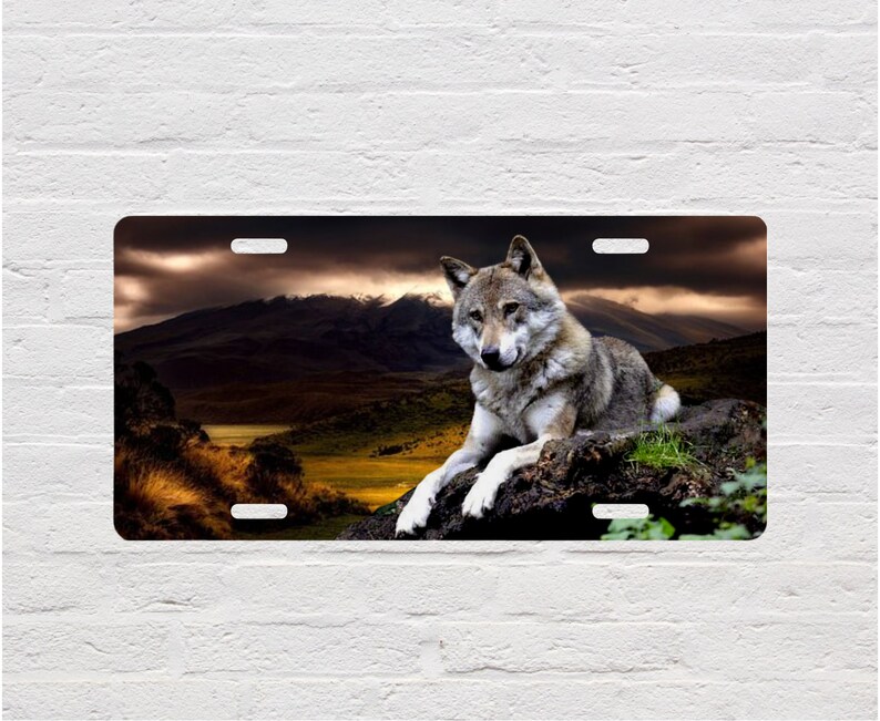12.25 X 6.25 License Plate Digital Files for Sublimation Wolf Wildlife ...