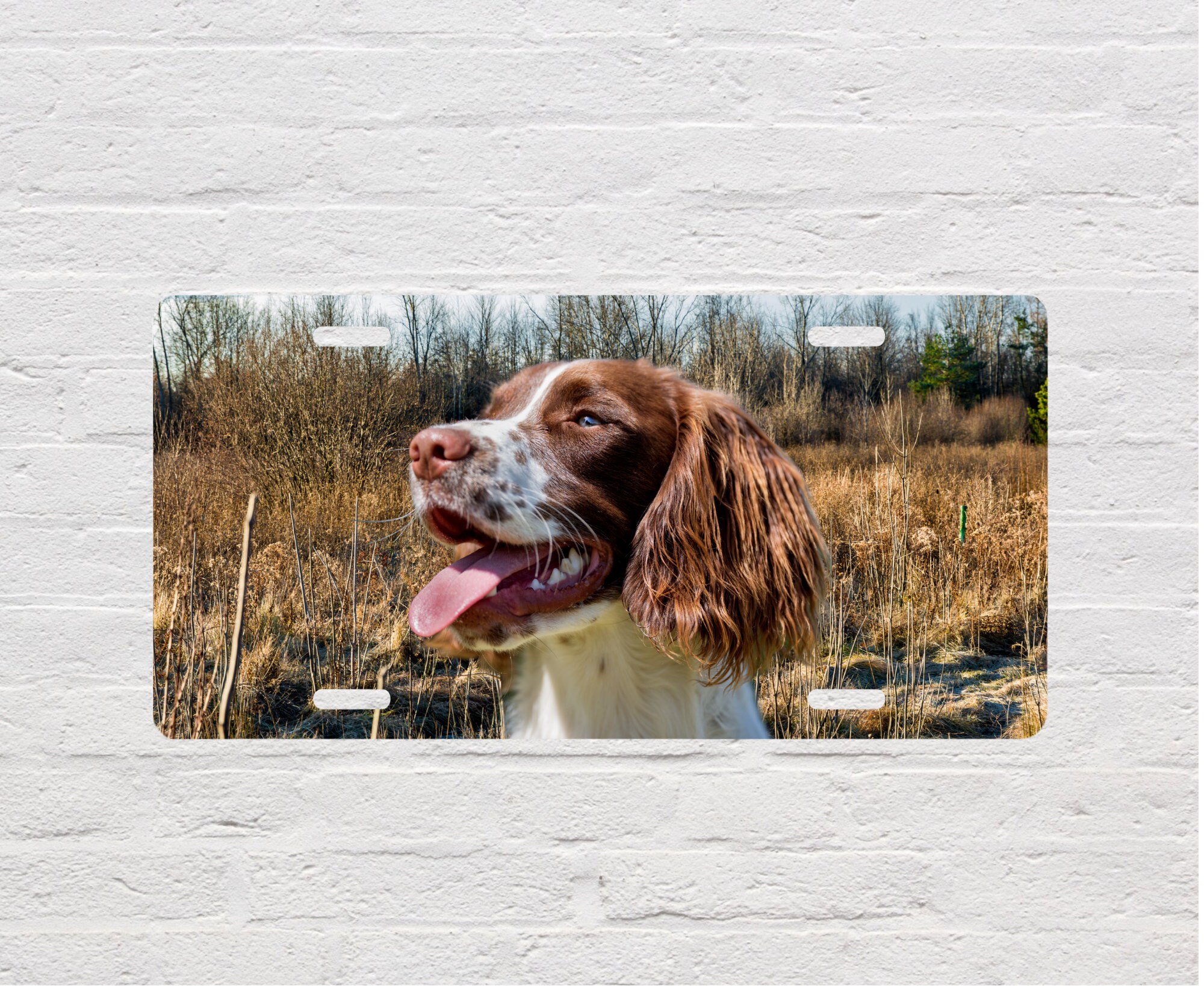 12.25" X 6.25" License Plate Digital Files for Sublimation Brittany ...
