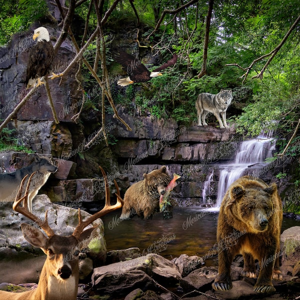 Wildlife Decor - Etsy