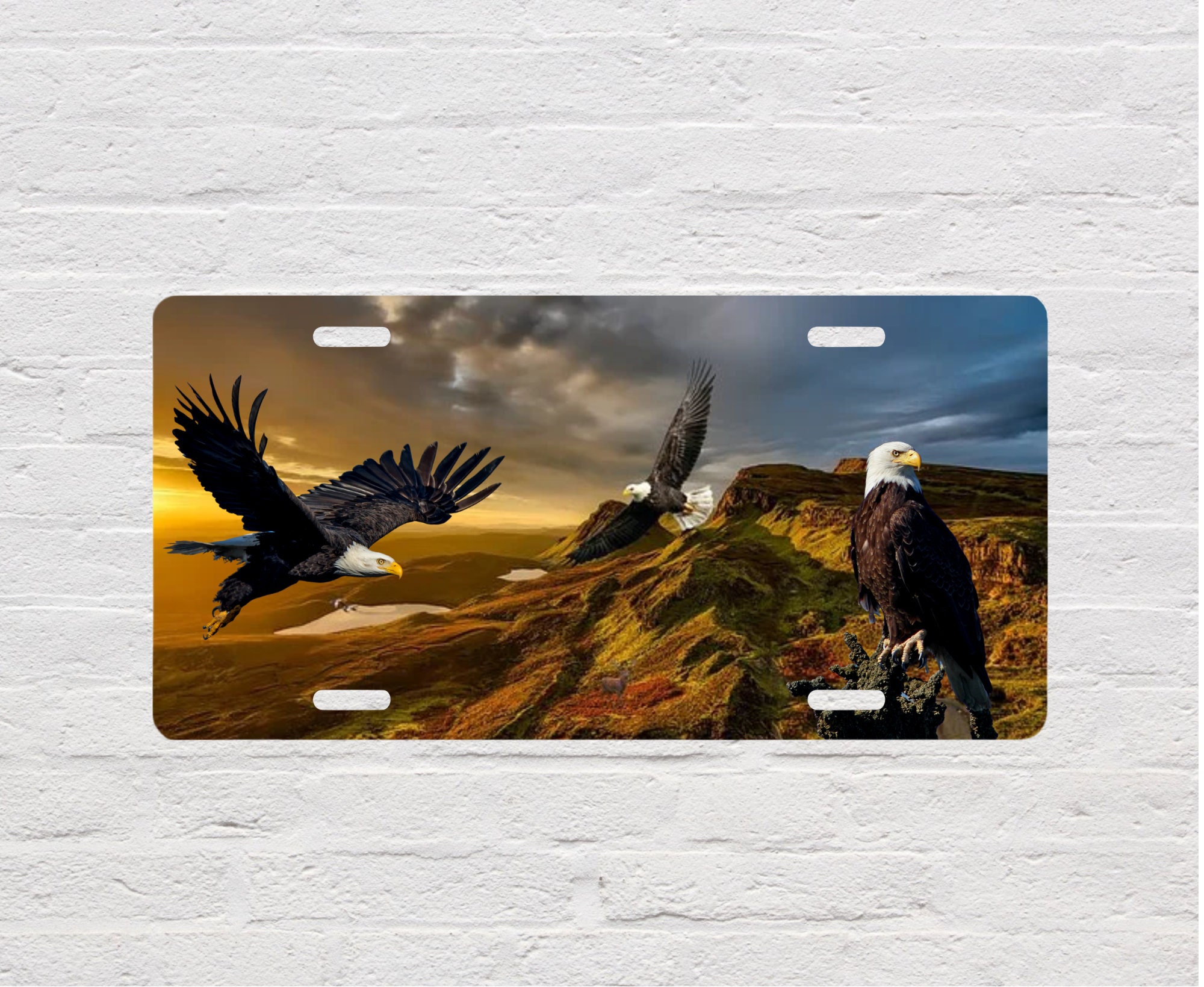 12.25" X6.25" License Plate Digital Files for Sublimation Eagles ...