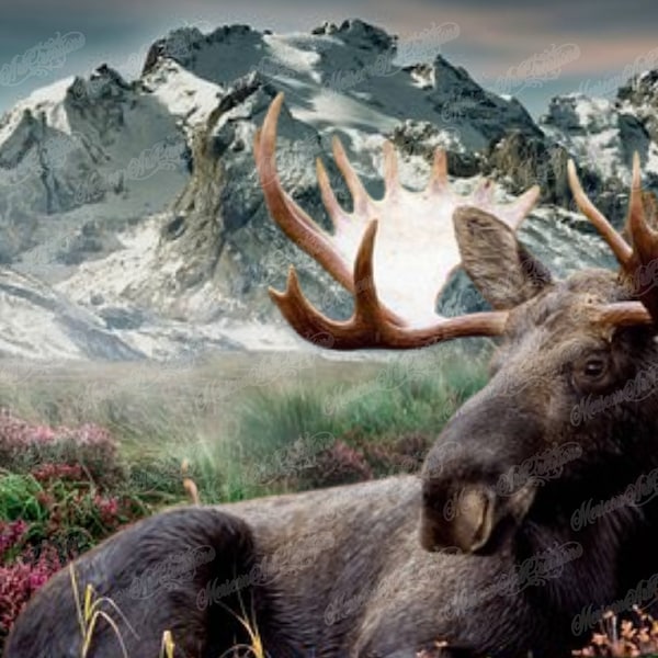 Moose License Plate Frame - Etsy