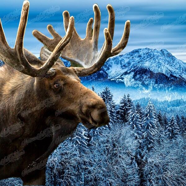 Moose License Plate - Etsy