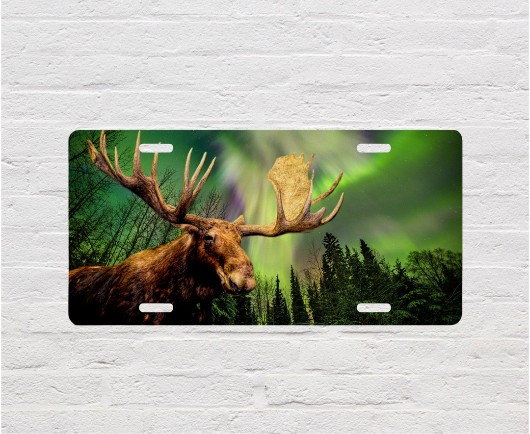 12.25" X 6.25" License Plate Digital Files for Sublimation Moose ...