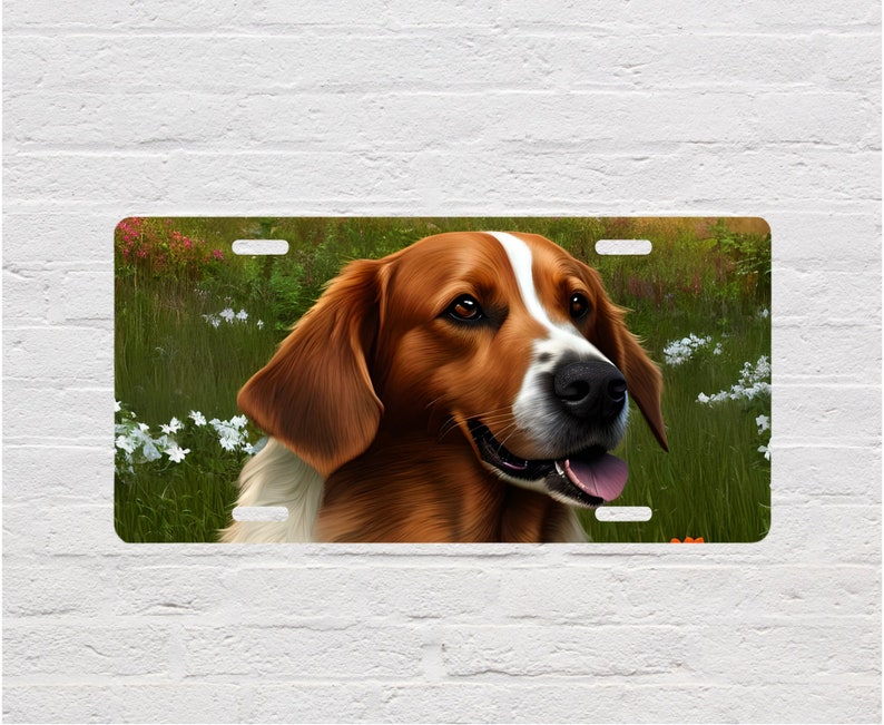 12.25 X 6.25 License Plate Digital Files for - Etsy