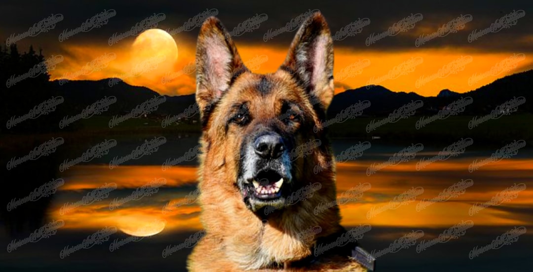 12.25" X 6.25" License Plate Digital Files for Sublimation German ...