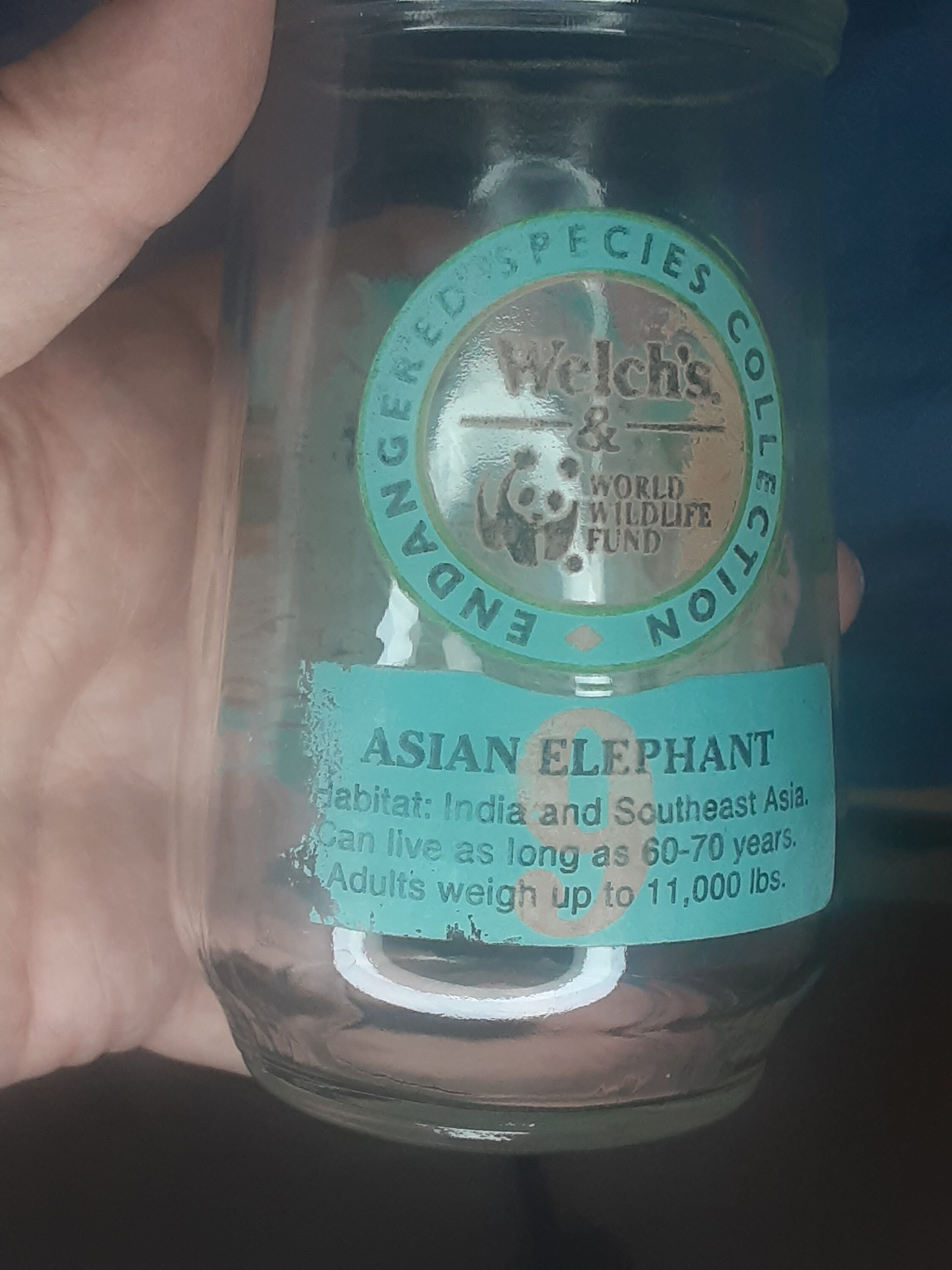 Welch Endangered Species Series Glass/collectible Glass - Etsy