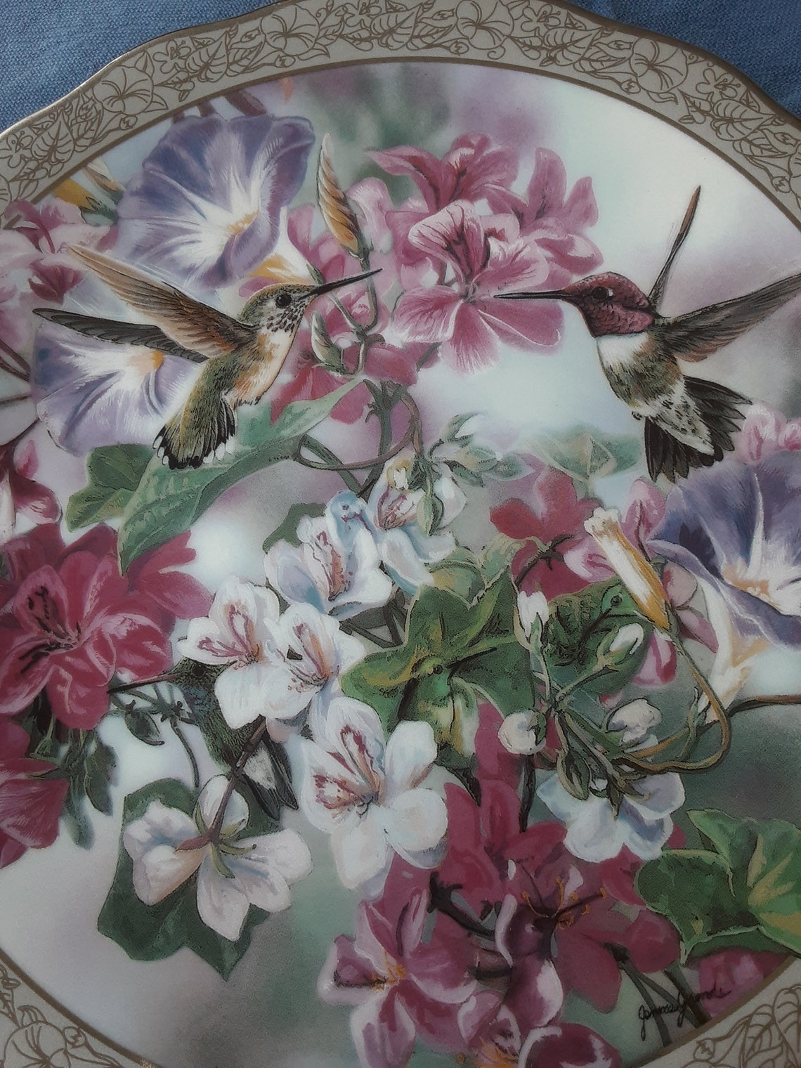 Morning Glory Plate by Janene Grende for Bradex/hummingbird Plate ...