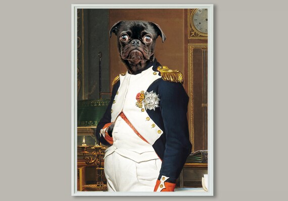 What Is An Altered Dog